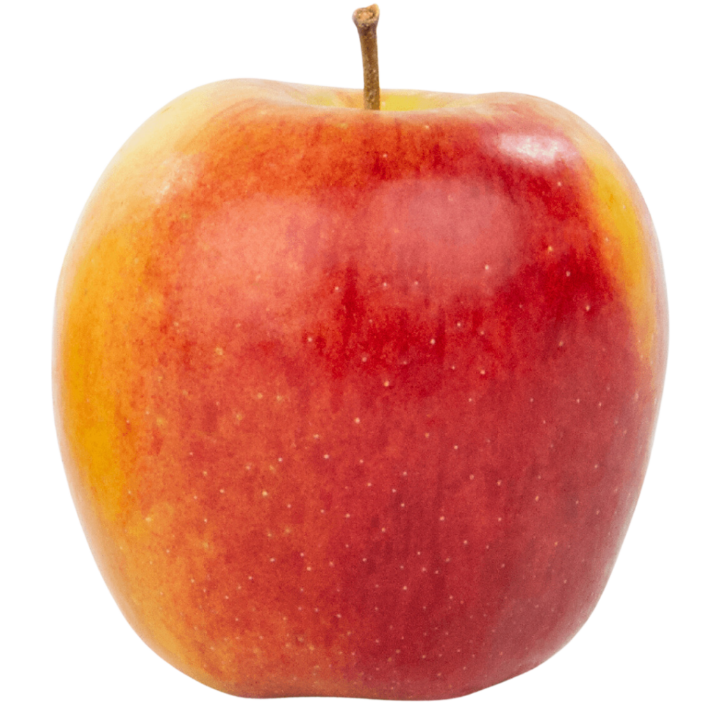 All Apple Varieties - Washington Apples