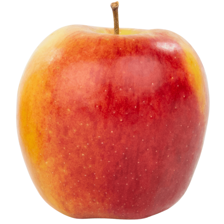 All Apple Varieties - Washington Apples