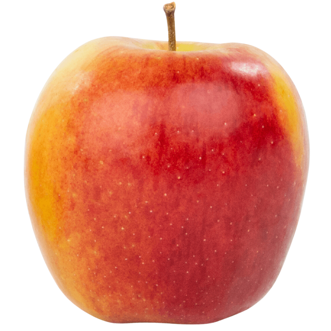 All Apple Varieties - Washington Apples