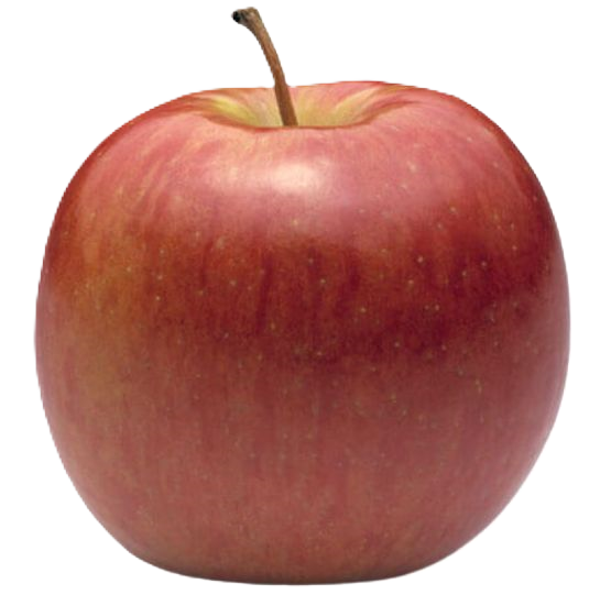 All Apple Varieties - Washington Apples