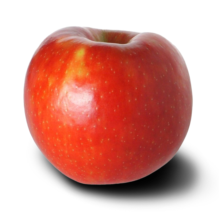 All Apple Varieties - Washington Apples