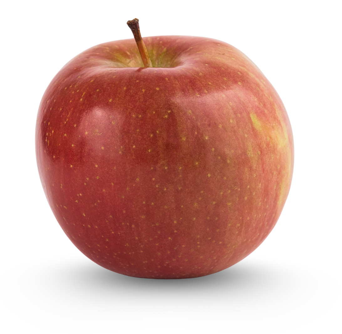 Honeycrisp - Washington Apples