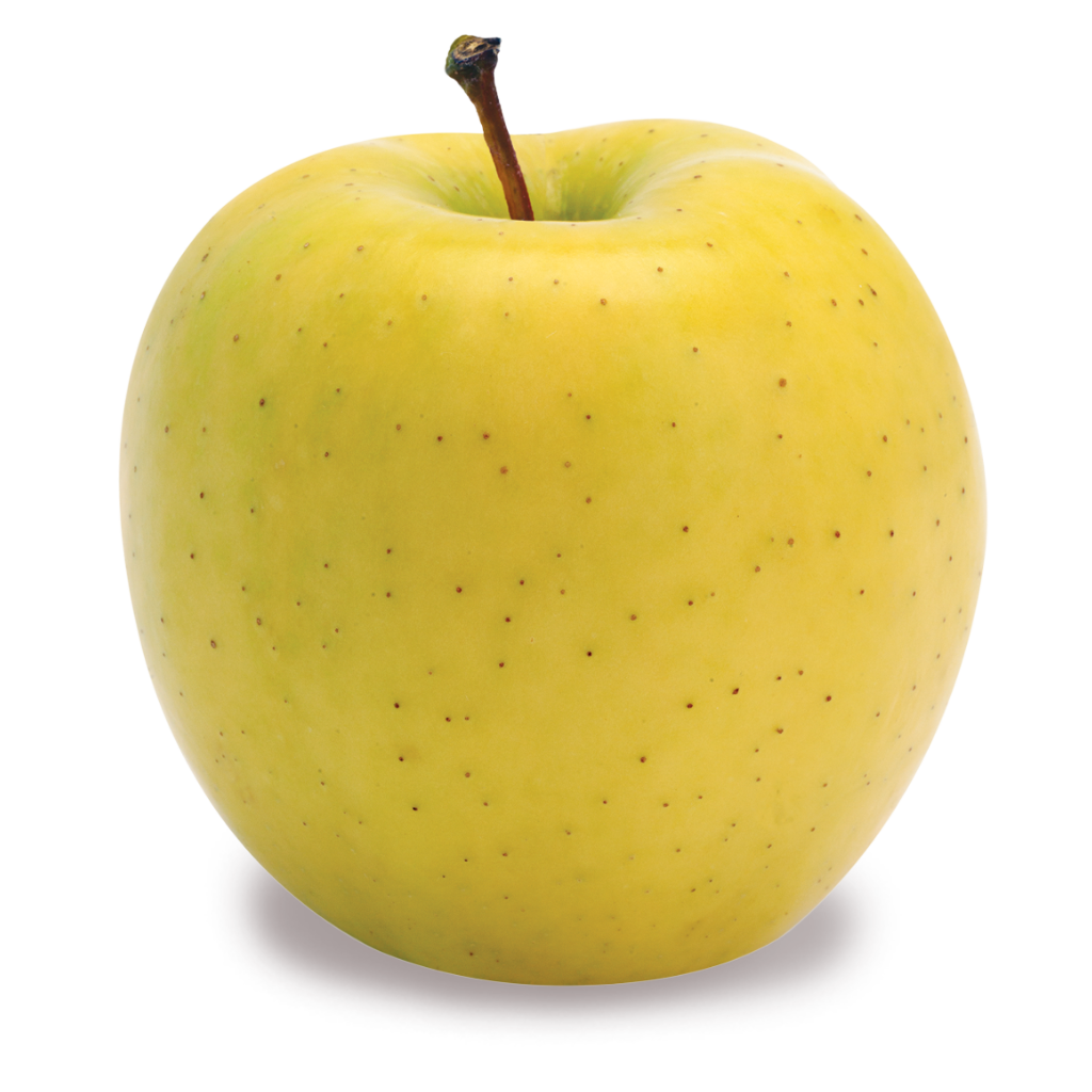 Red Delicious - Washington Apples