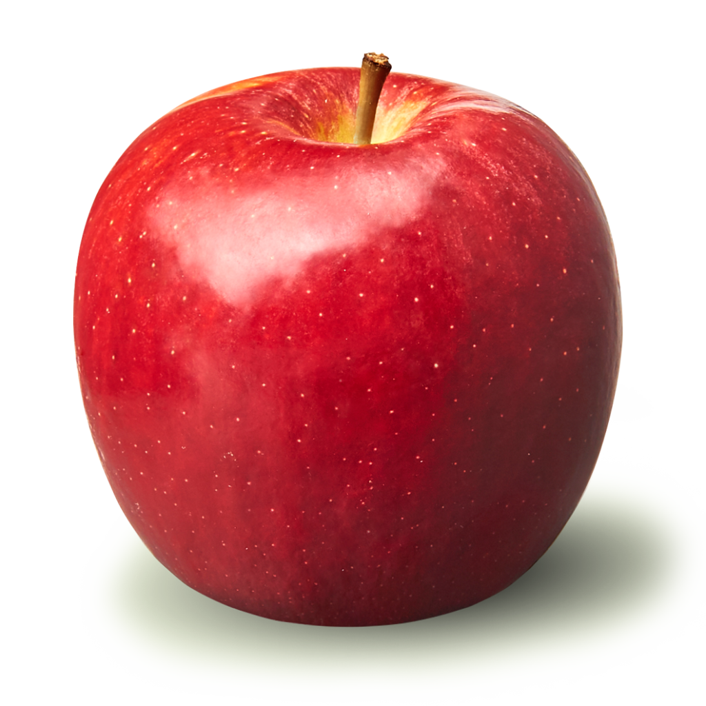 Kaitlyn Thornton - Washington Apples