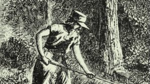 The Story of Johnny Appleseed - Washington Apples