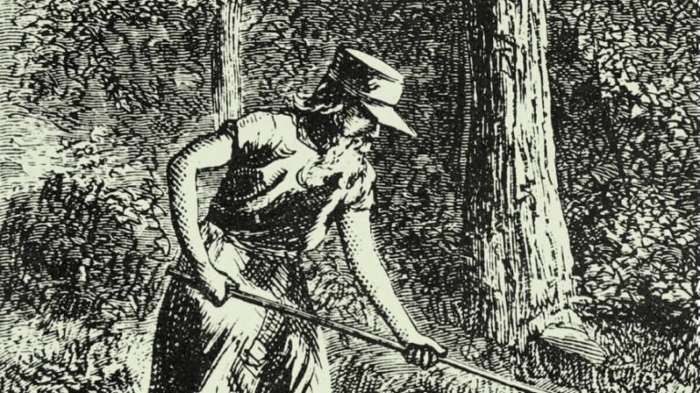 The Story of Johnny Appleseed - Washington Apples