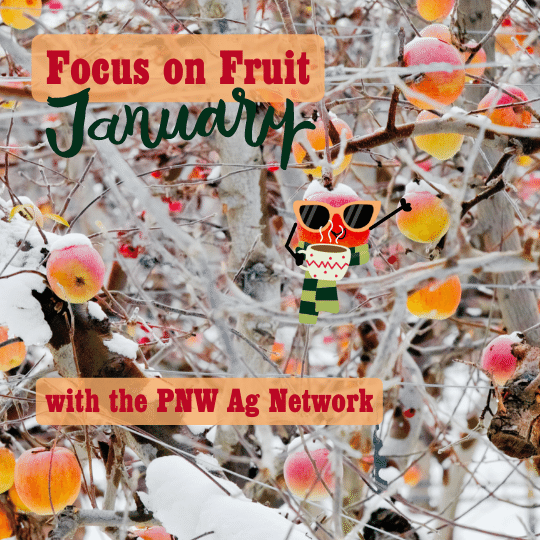 Focus on Fruit with the PNW Ag Network - January 2023 Edition ...